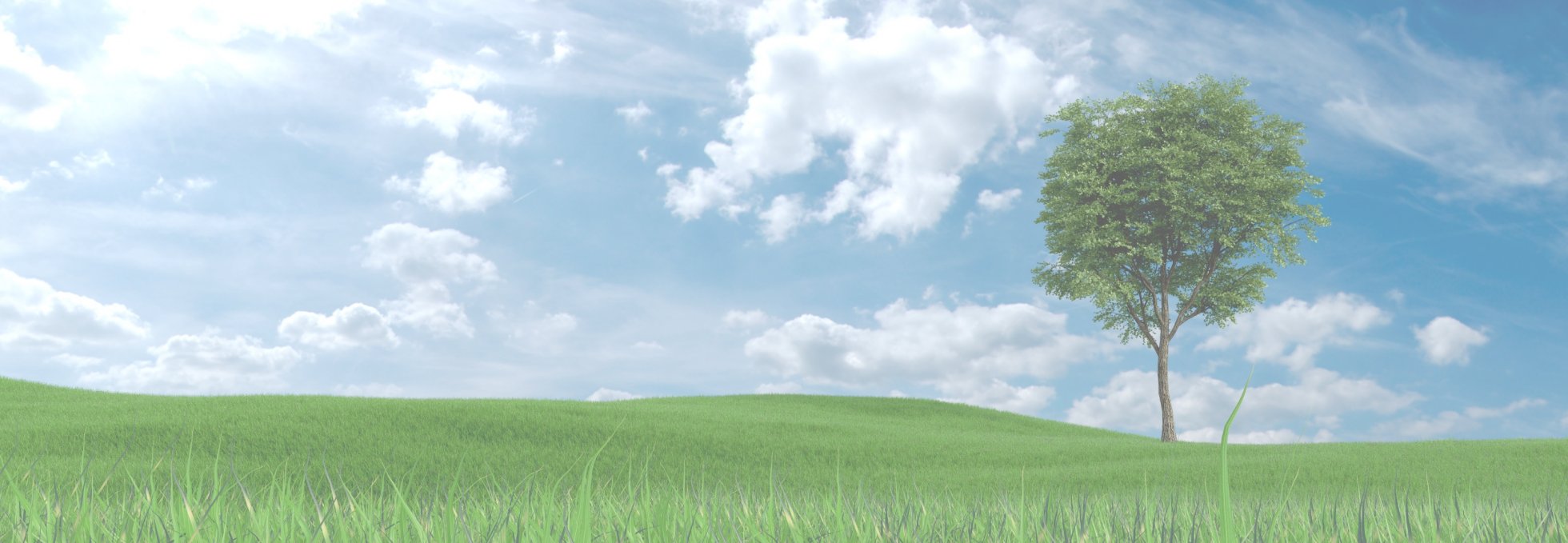 Home | Ardnet Online Limited